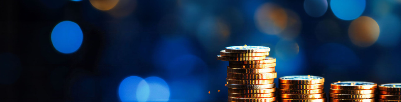 NPL & NPA Management Business | Rabbit Holdings